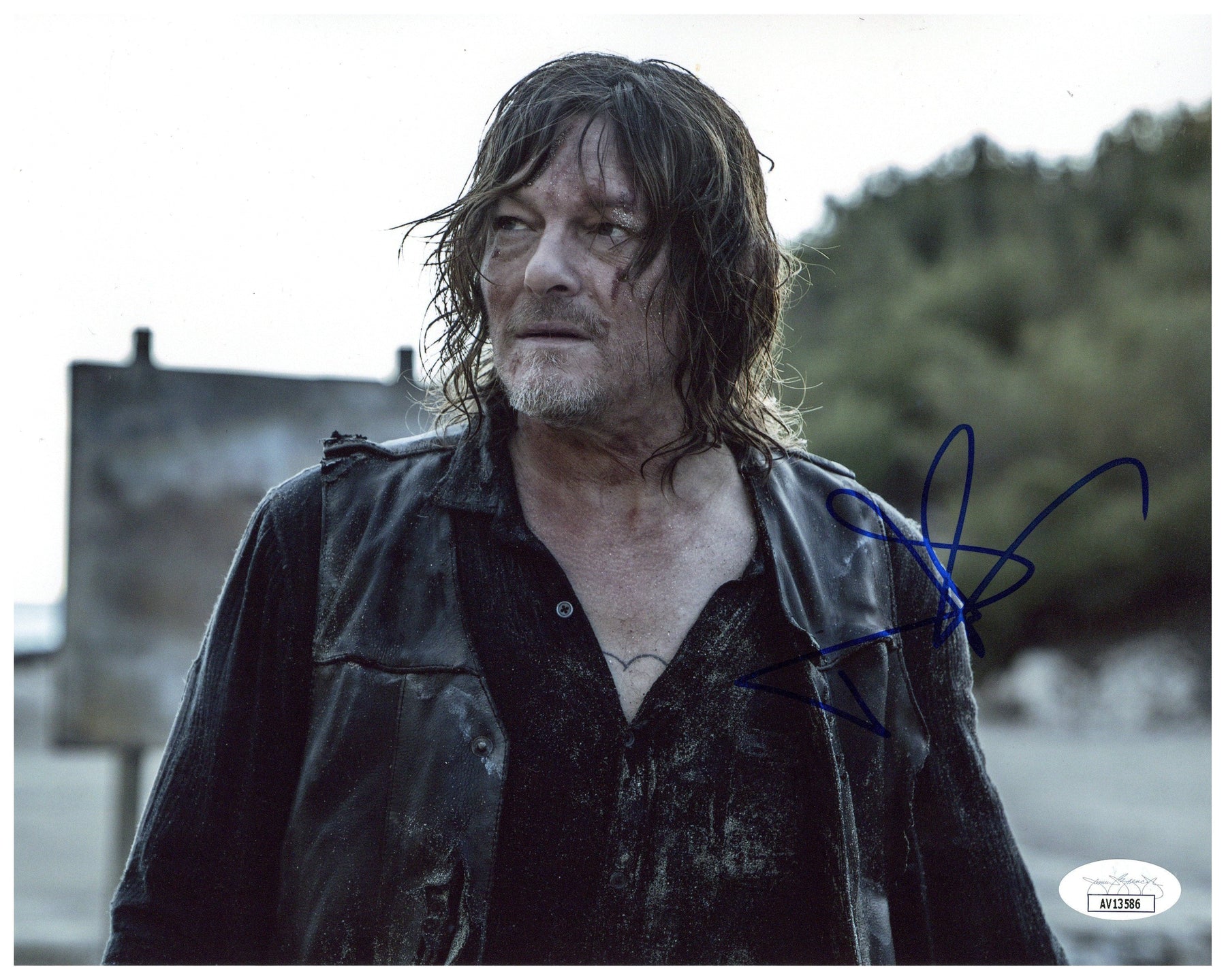 Norman Reedus Signed 8x10 Photo The Walking Dead Daryl Autographed JSA ...