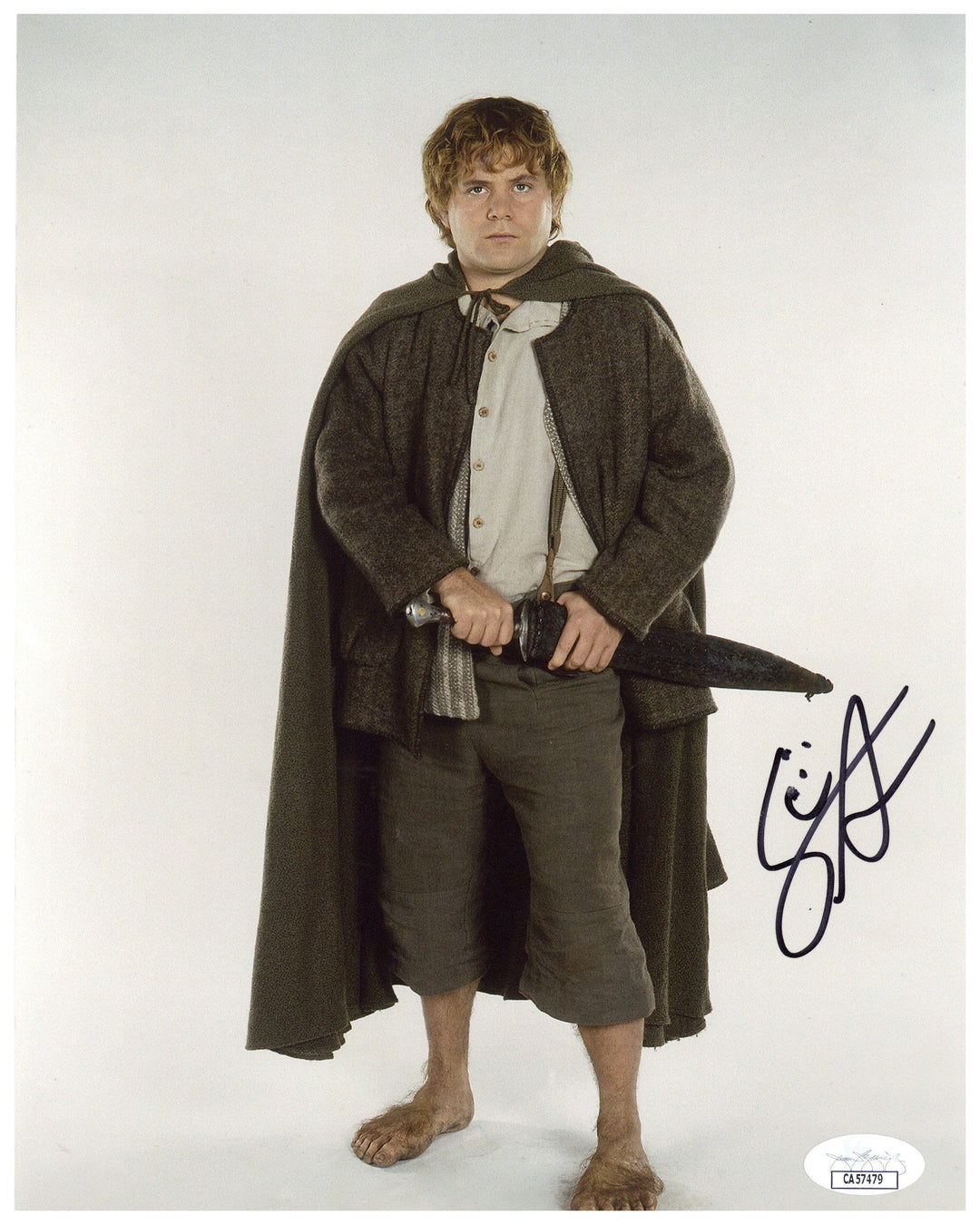 Sean Astin Samwise