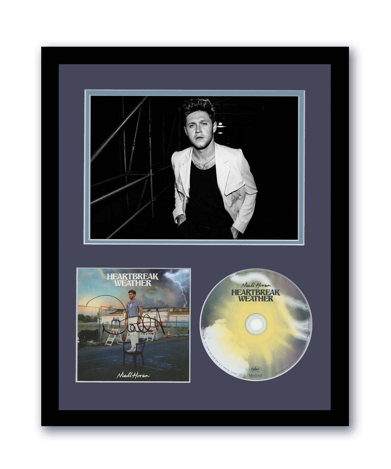 Niall Horan Signature Header